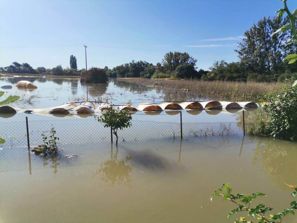 Karlovačko naselje Brodarci totalno je pod vodom. Pogledajte foto i ...