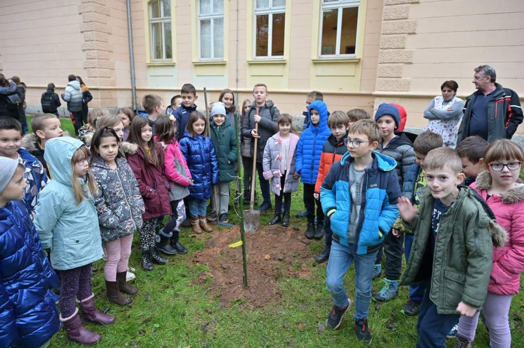Učenici Dragojle Jarnević posadili voćke: Kruška i jabuka sada krase ...
